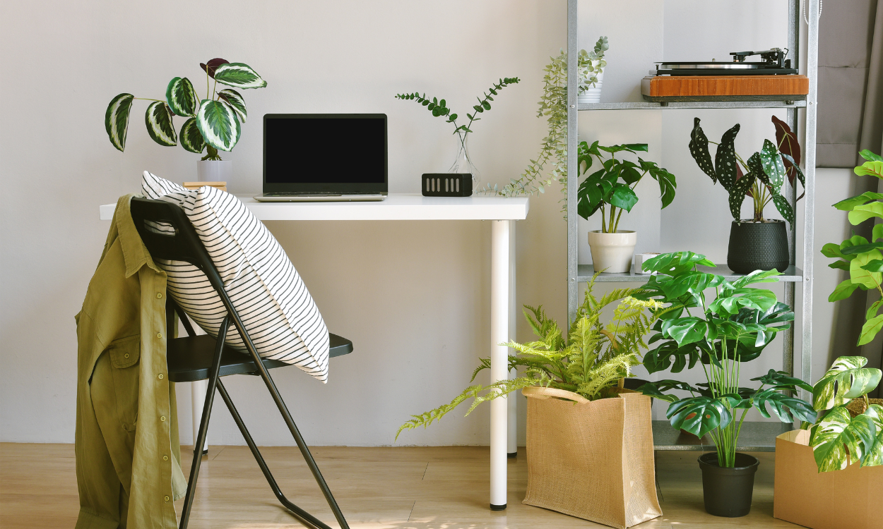 Aesthetic Study Desk Setup: Which One Is For You? - Simply Rahema